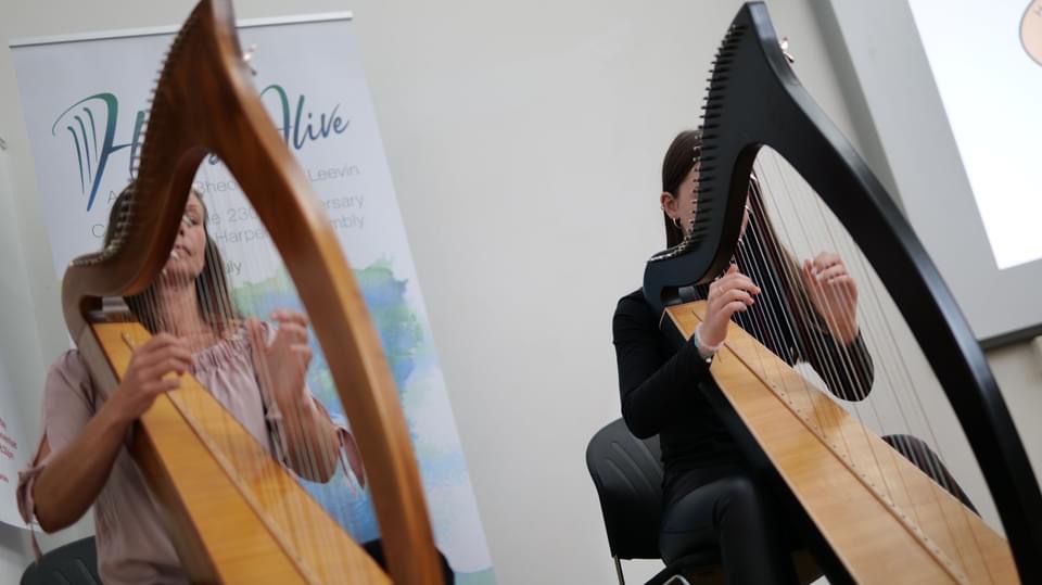 Harpmaker’s Workshop at Shankill Rd Library – Causeway Harp School